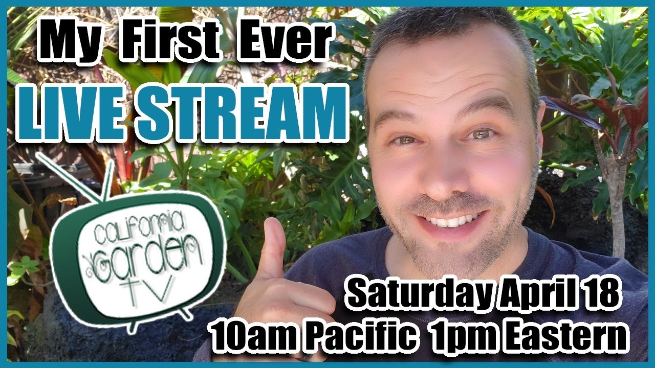 First Ever LIVE STREAM - Live Gardening Q & A - YouTube