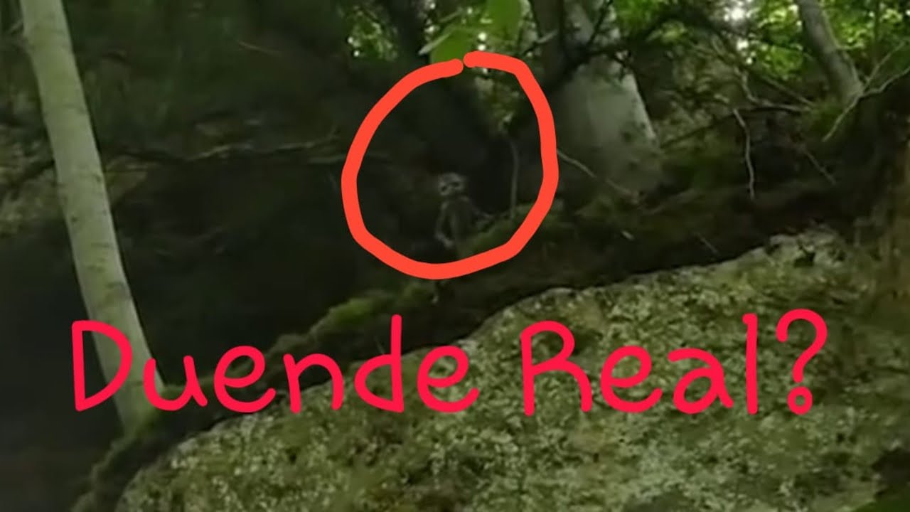 Descubren un Duende en Bosque y Otro en Cascada de Islandia y Logran ...