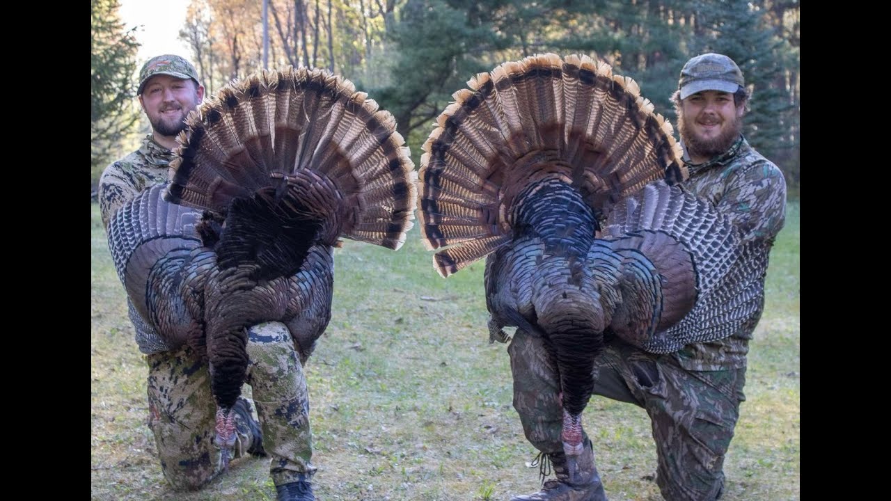 2 TURKEYS IN 1 HOUR!!! Michigan Turkey Hunting - YouTube