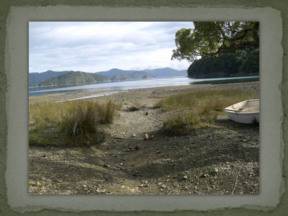 Matai Bay Hut Slide Show - YouTube