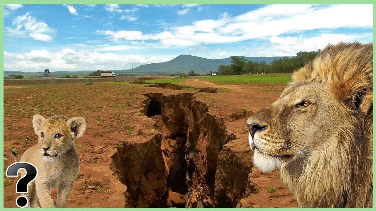 What If Africa Broke Apart YouTube what-if-africa-broke-apart-youtube