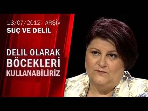 Ölümün kaçıncı evresinde hangi böcek gelir? - Suç ve Delil
