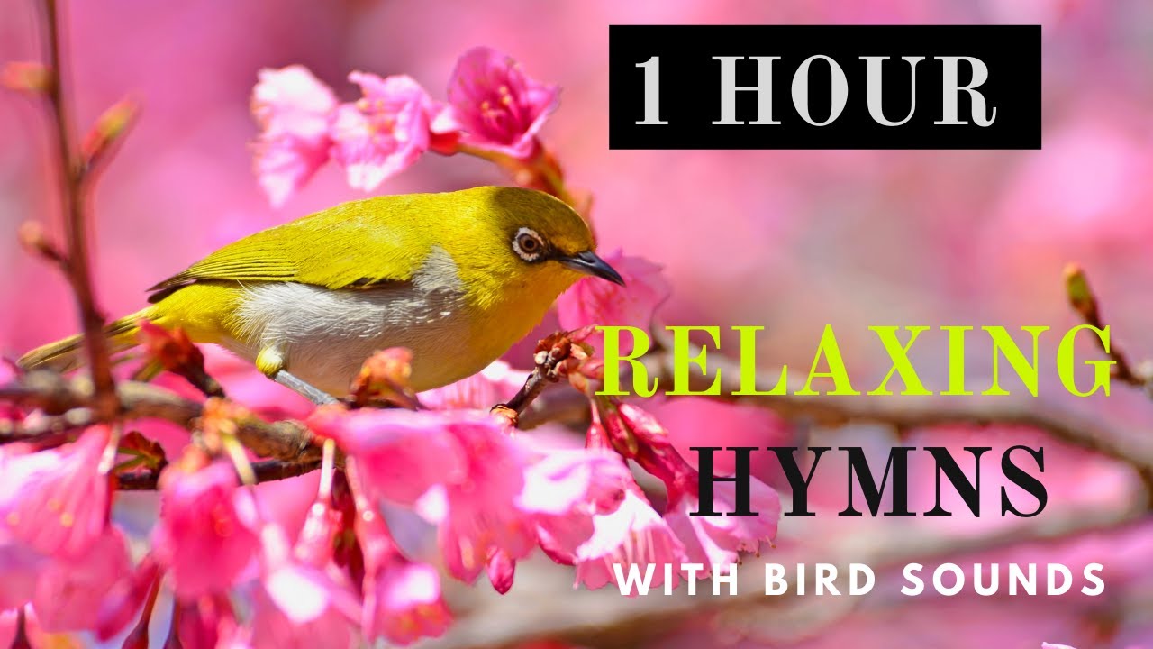 Beautiful Relaxing Hymns, Peaceful Instrumental Music, "Beautiful ...