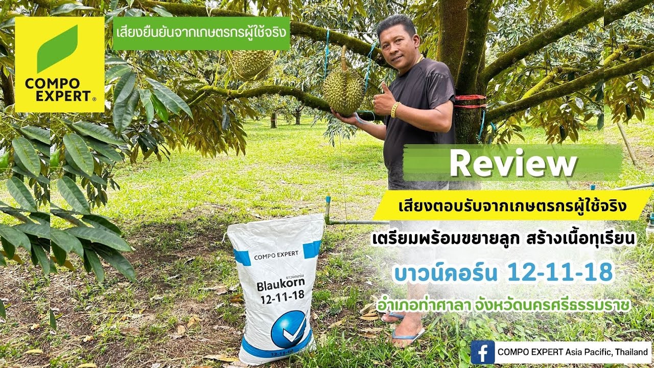 รีวิวการใช้บาว์นคอร์น 12-11-18 ในทุเรียน - COMPO EXPERT Asia Pacific ...