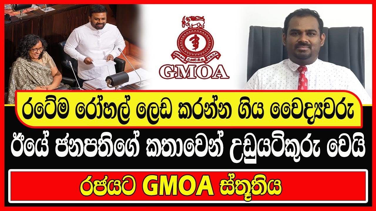 රටේම රෝහල් ලෙඩ කරන්න ගිය වෛද්‍යවරු ඊයේ ජනපතිගේ කතාවෙන් උඩුයටිකුරු වෙයි ...