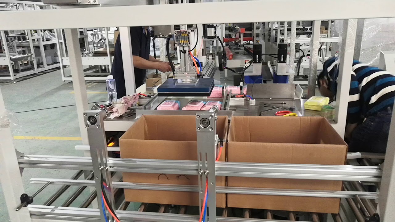 Corrugated paper case filler/case packer boxing packing machine - YouTube