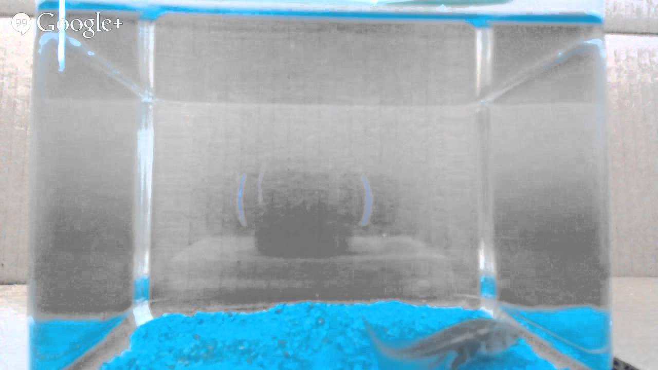 Frog Cam - March 14th - YouTube