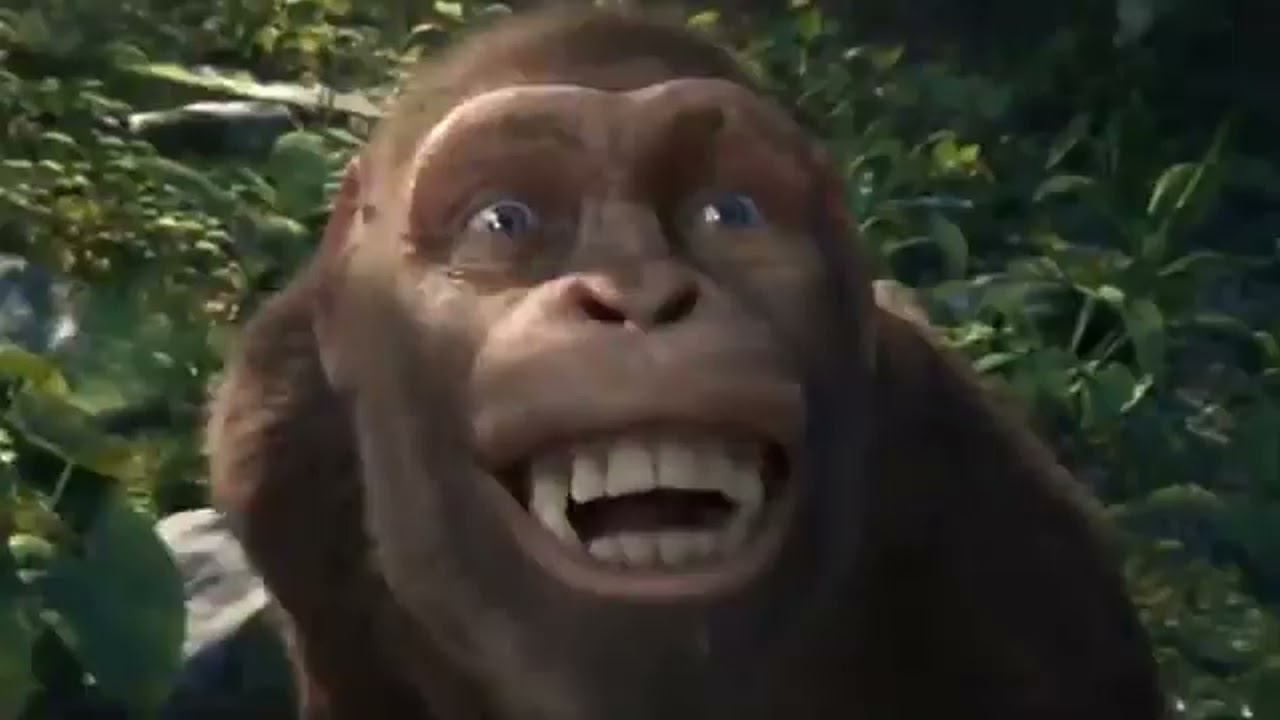 Monkey Dances To Drill Sensei - YouTube