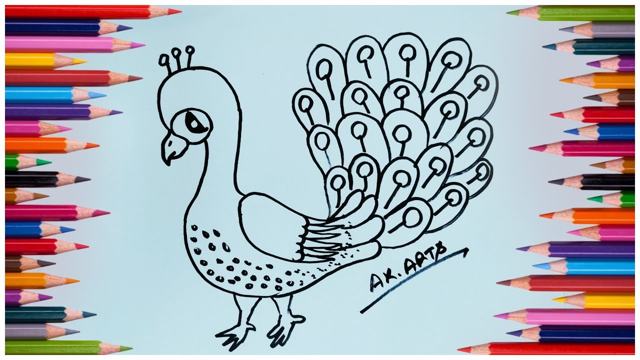 Peacock Drawing Videos l How To Draw A Peacock Using l Peacock Art ...