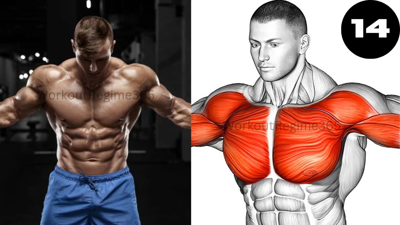 CHEST WORKOUT | Grow A Bigger Chest With These Movements 🔥| 14 EXs ...
