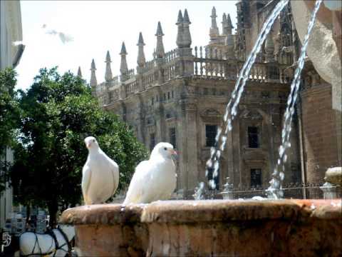 Los del Río - Sevilla Es La Gloria de Los Cielos - YouTube