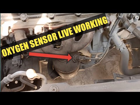 How OXYGEN Sensor Works? |With Live Data | Improve Your Average - YouTube