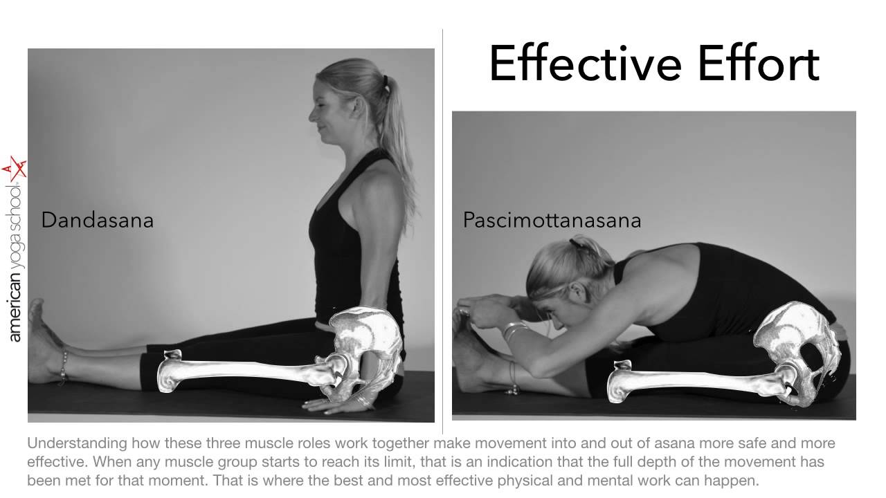 Muscle Roles How The Body Moves YouTube muscle-roles-how-the-body-moves-youtube