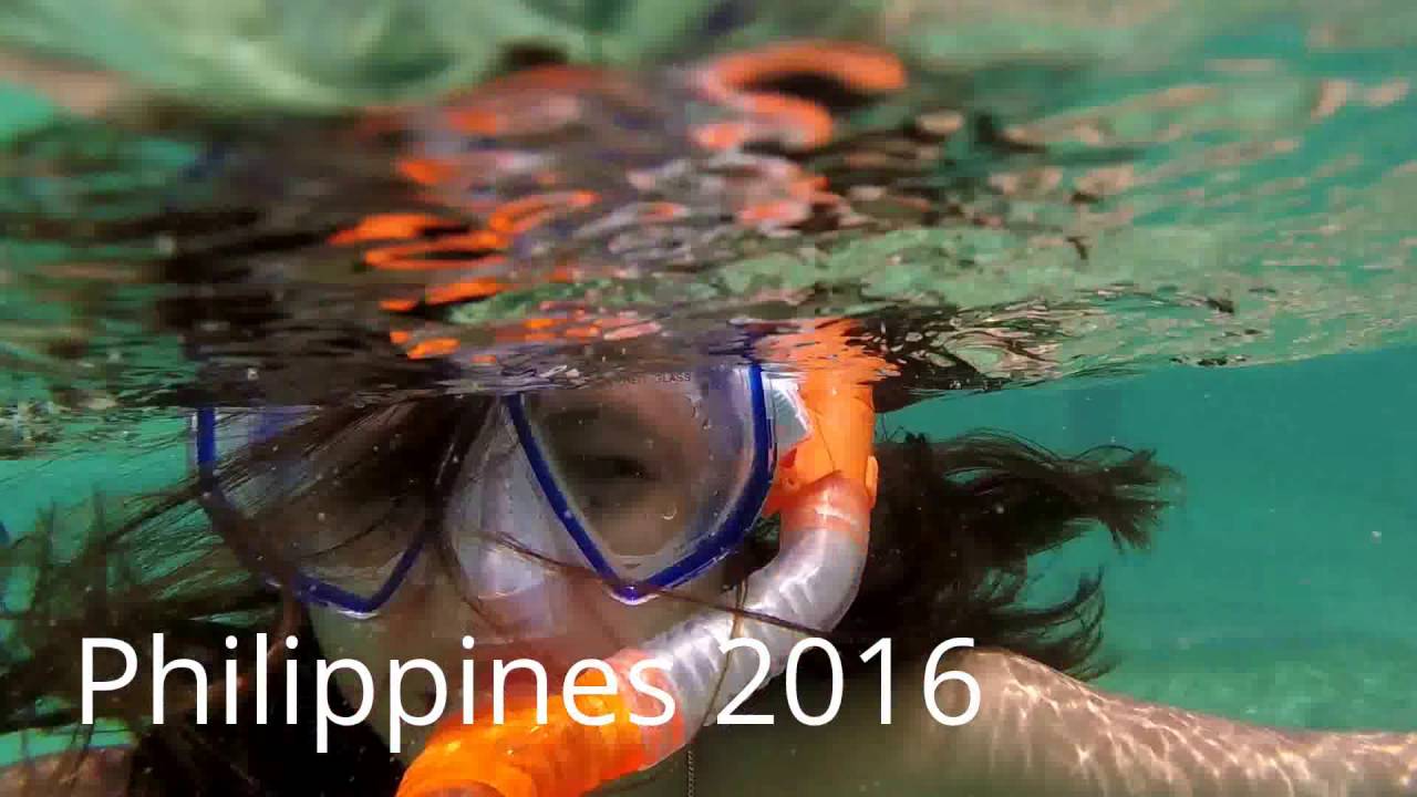 Saltwater fish ,Virgin Island Cebu Philippines - YouTube