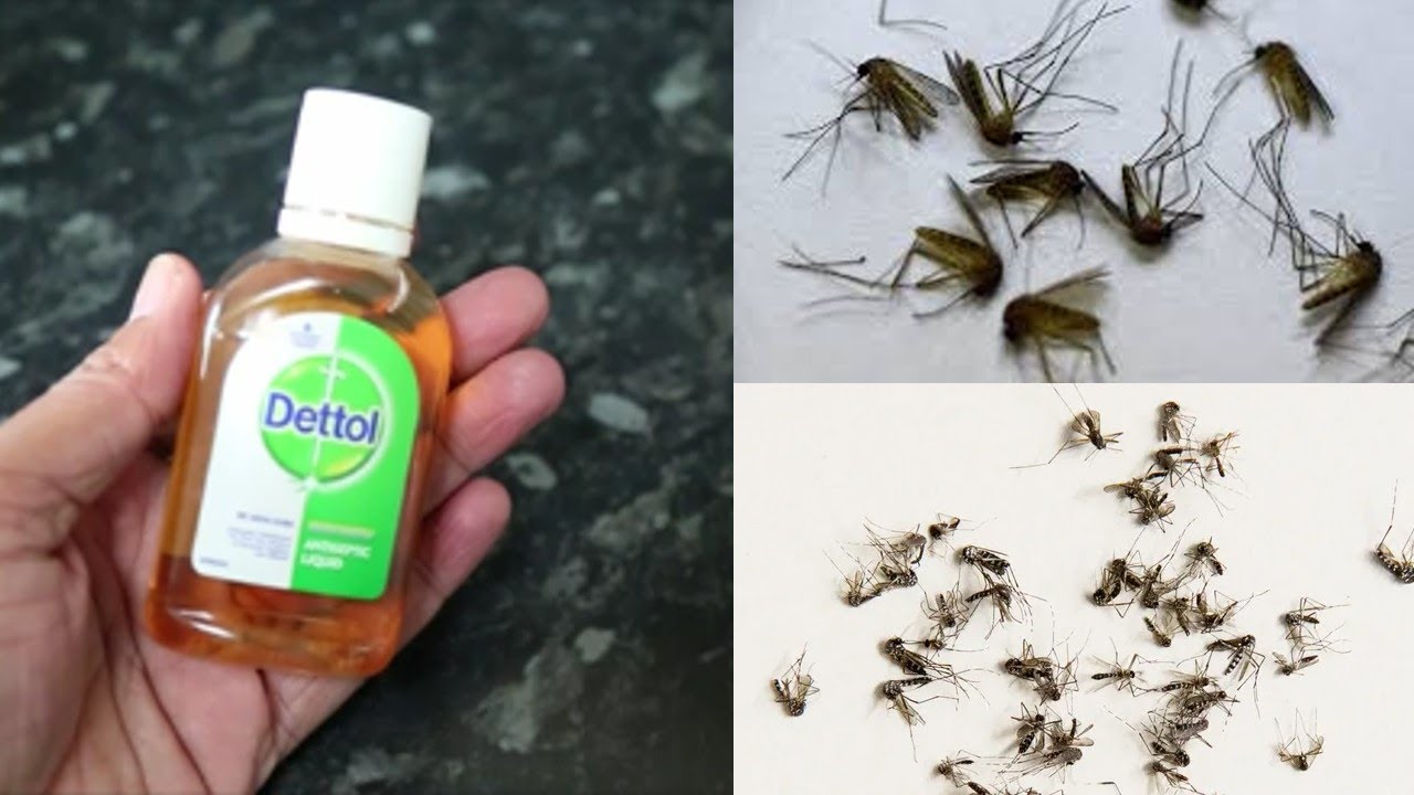 MAGIC DETTOL || Kill Mosquitos In 5 Minutes || Magic Ingredients ...
