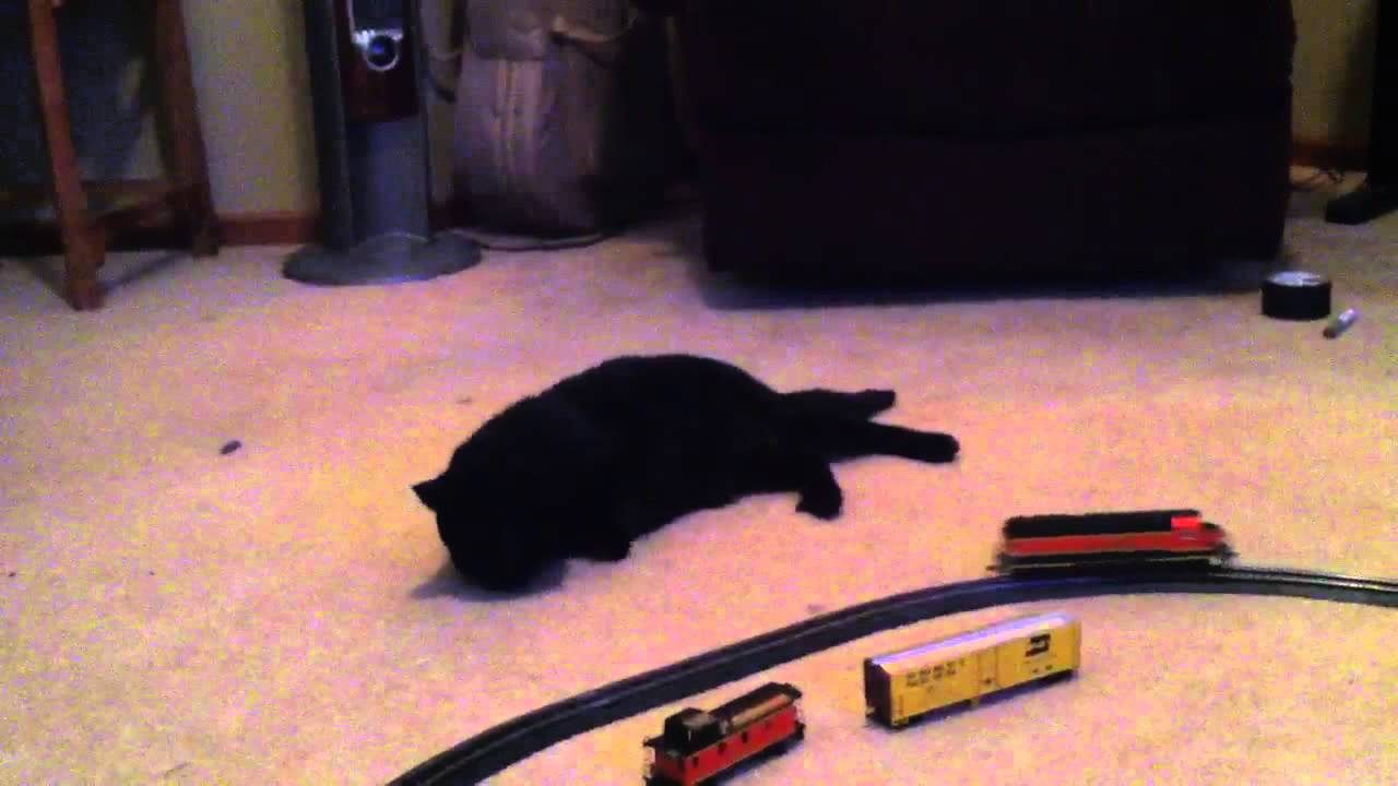 Cat vs. Model Train - YouTube