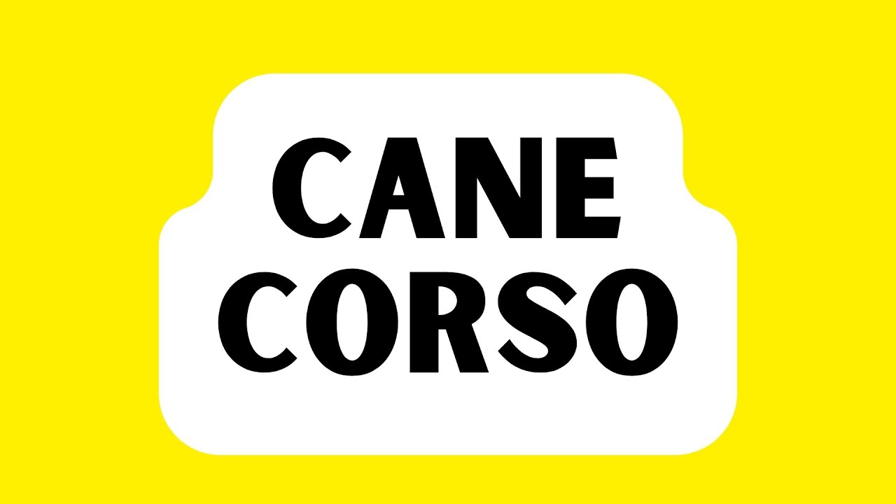 How to Pronounce Cane Corso (Correctly) - YouTube