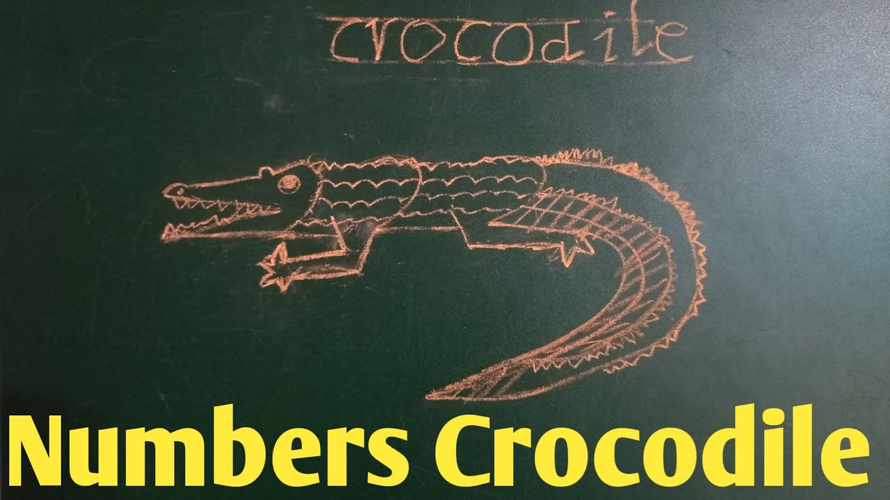how to draw a crocodile for kids | how to draw a crocodile using ...
