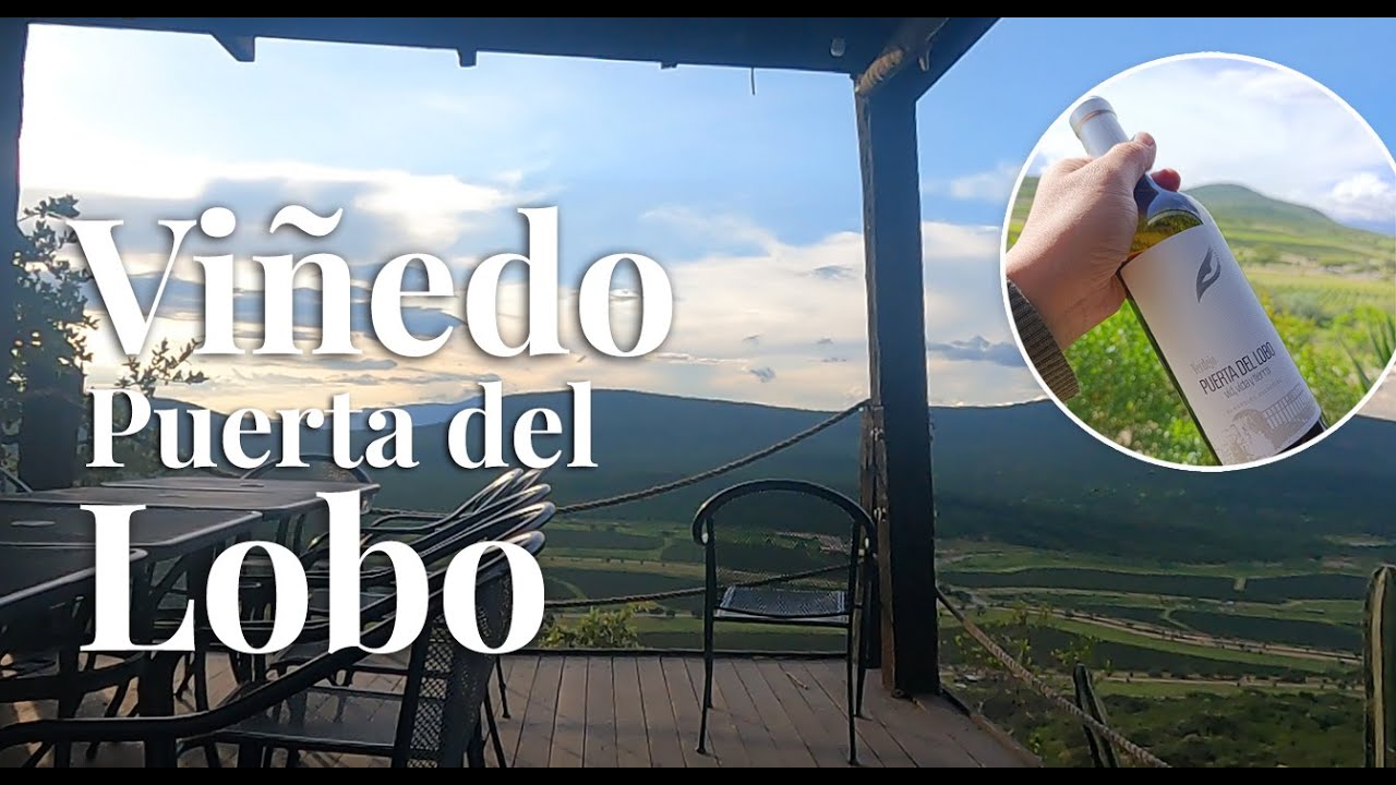 🍷 Viñedo Puerta del Lobo 🐺 Enoturismo y gastronomía con vistas ...