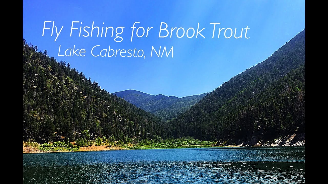 Fly Fishing for Brook Trout on Lake Cabresto NM - YouTube