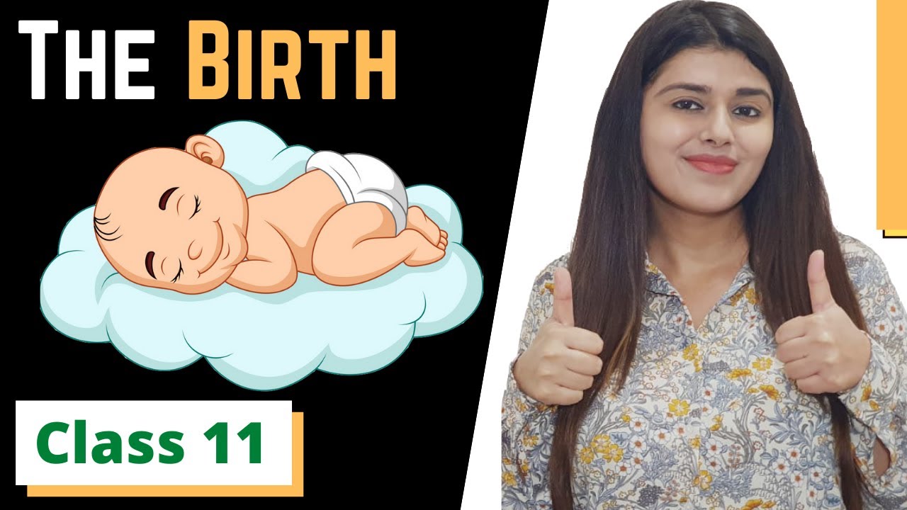 🔴 Summary of Birth Class 11 in Hindi | By A.J. Cronin | Snapshot - YouTube
