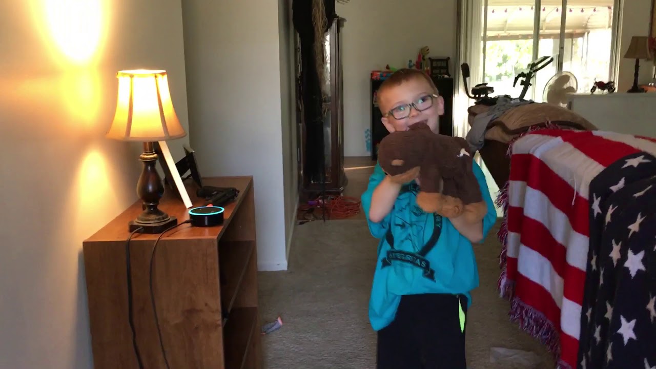 Alexa “Poop Detective” - YouTube