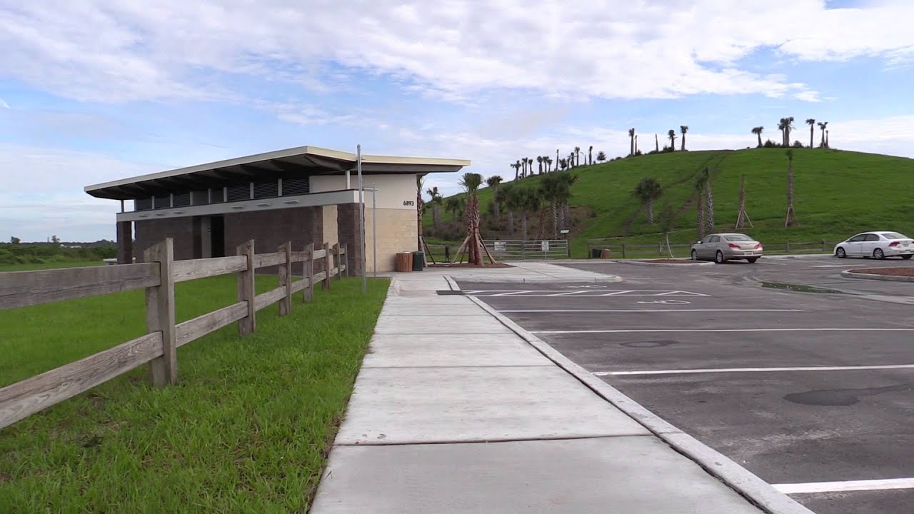 The Celery Fields - Update - YouTube