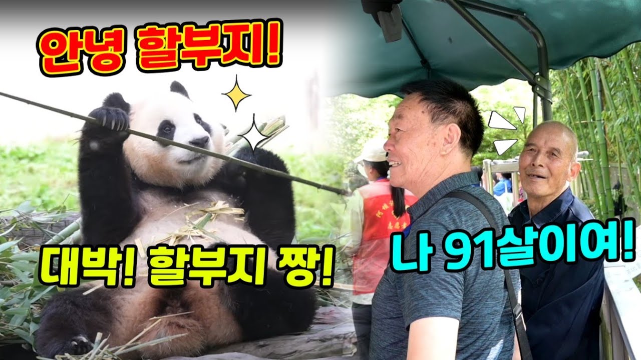 안녕 할부지 👋 나 91살이여 푸바오 보러왔어 🐼 대박 할부지 짱 👍 Youtube