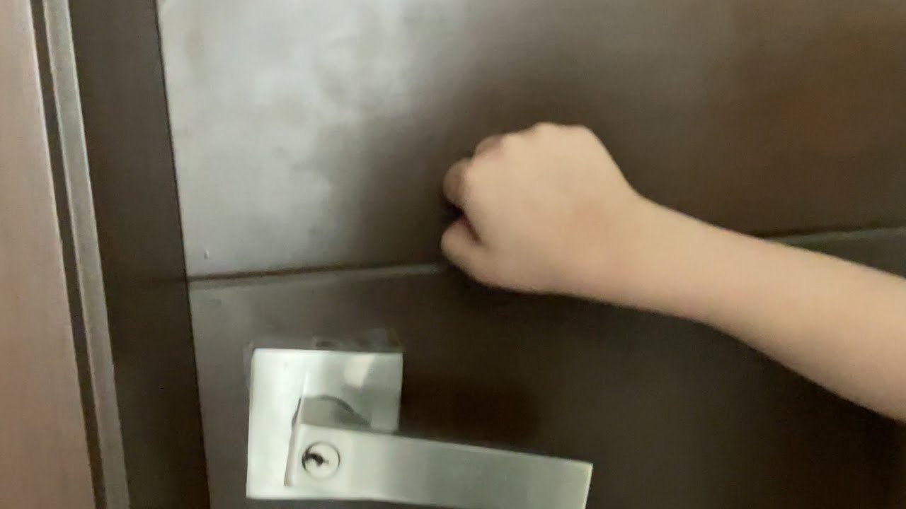 Mente pollo! - YouTube