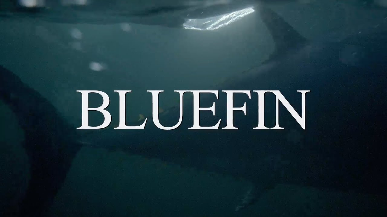 Trailer "Bluefin" by John Hopkins (2016) - YouTube