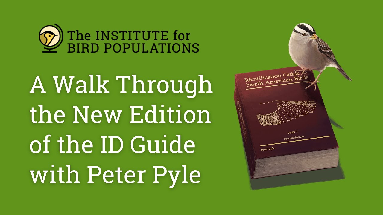 A Walk Through the New Edition of the ID Guide with Peter Pyle - YouTube