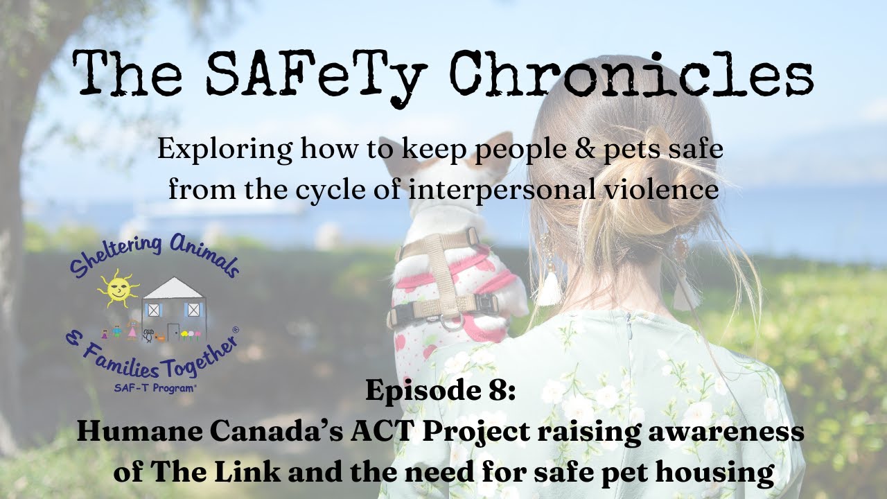 The SAFeTY Chronicles Episode 8: Humane Canada's ACT Project raising awareness for safe pet ...