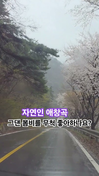 #자연인 #애창곡 #봄비 #첫사랑 #하루종일 비가 내리는데~ 나는요~~ - YouTube