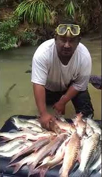 Qqqq qqq qq q qqqqqqqqq - YouTube