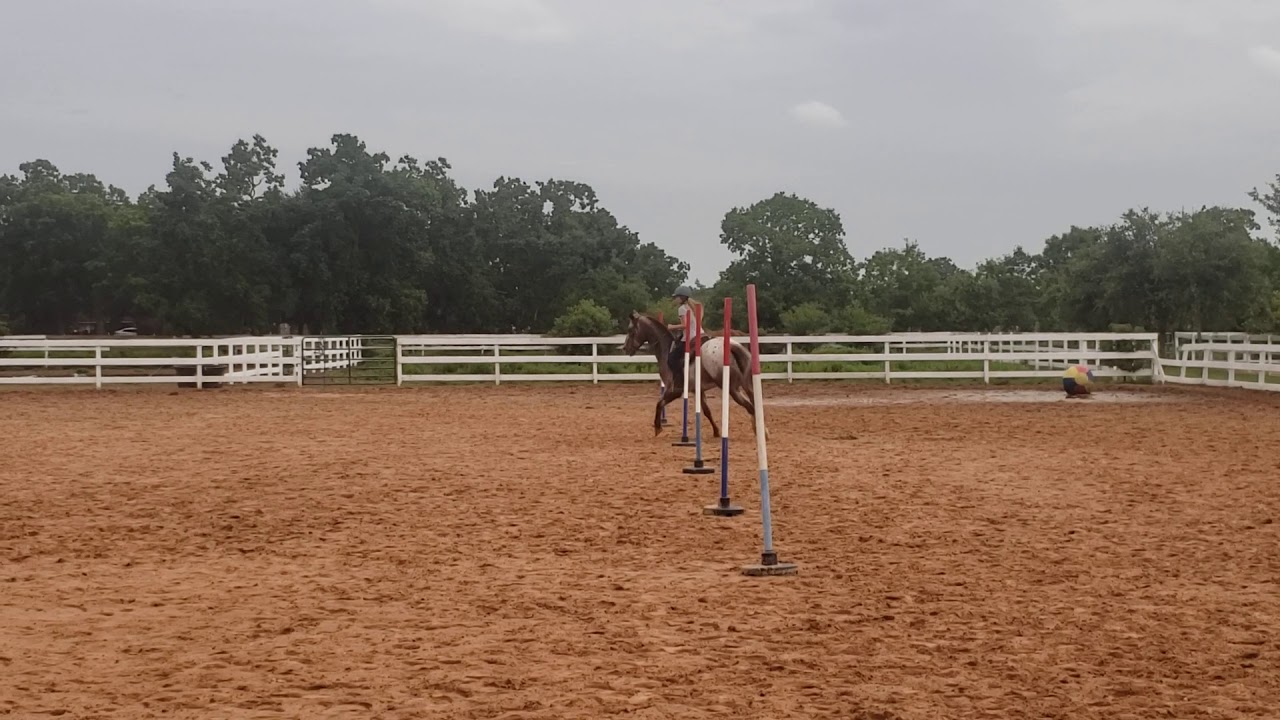 Gladiator Ride 1: 2020.06.23 - YouTube