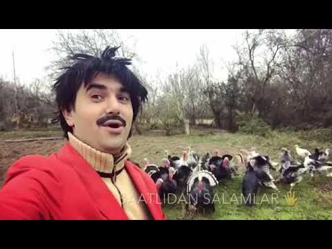 Felaket urekdi