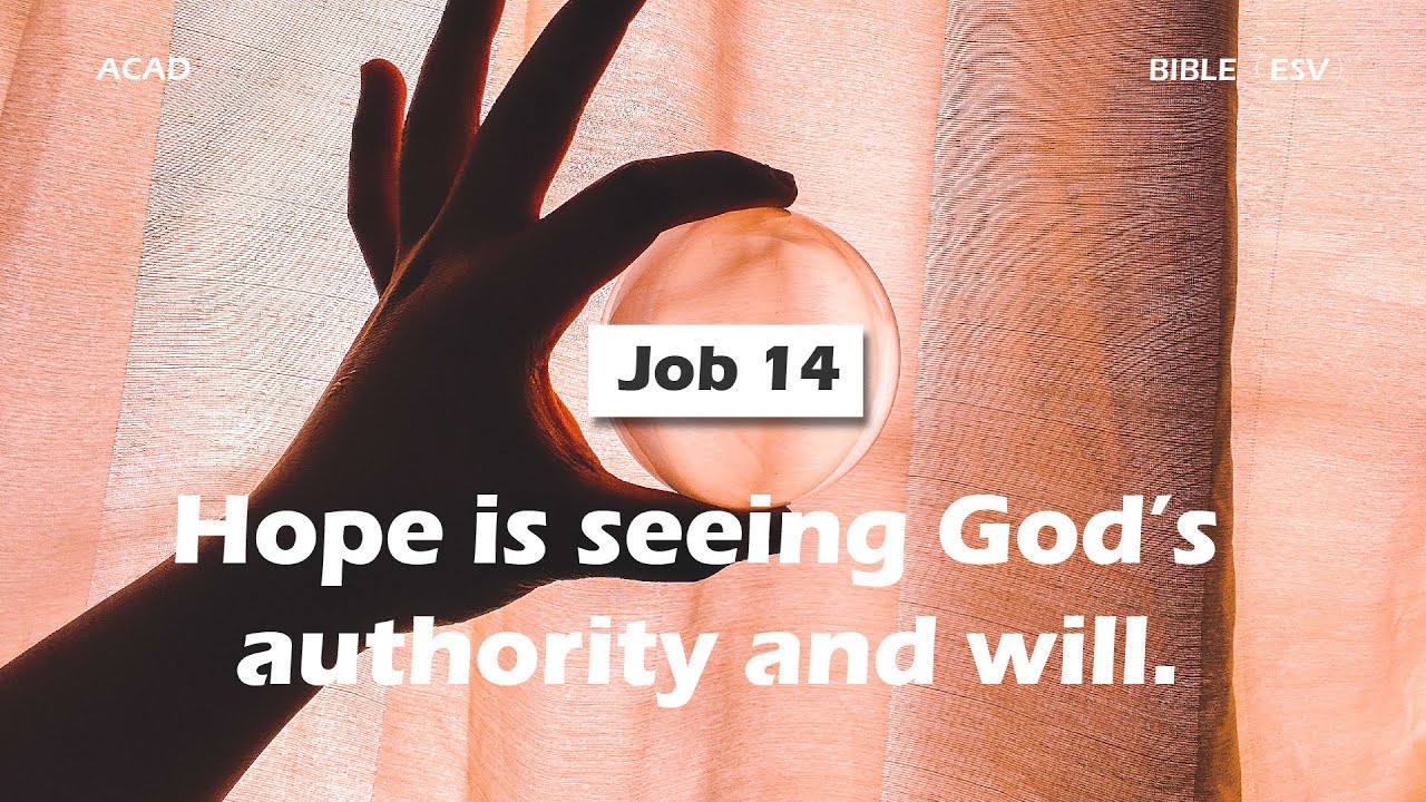 Job 14 】Hope is seeing God’s authority and will. ｜ACAD Bible Reading ...