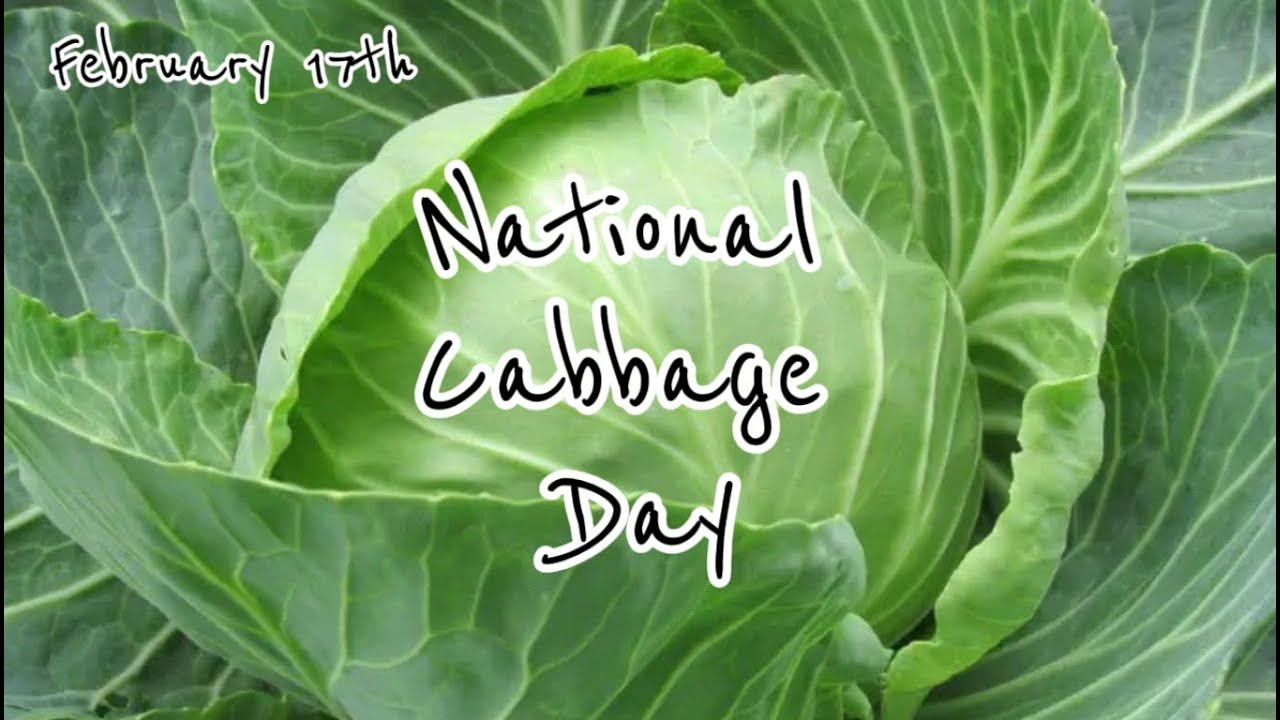 February 17 - National Cabbage Day - YouTube