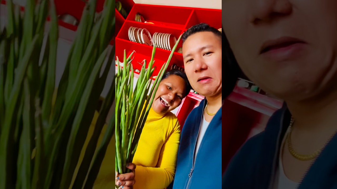 Pema Maya is Back hurhur ️🤟 phurba dorje moktan tamang - YouTube