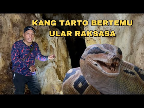 Viral..!!! Bertemu ular raksas di Goa jawa tengah - YouTube
