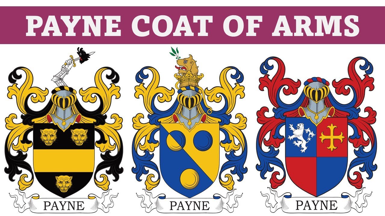 Payne Coat of Arms & Family Crest - Symbols, Bearers, History - YouTube