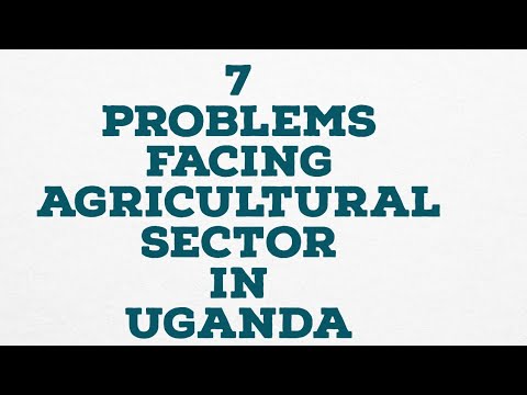 7 PROBLEMS FACING AGRICULTURAL SECTOR IN UGANDA - YouTube