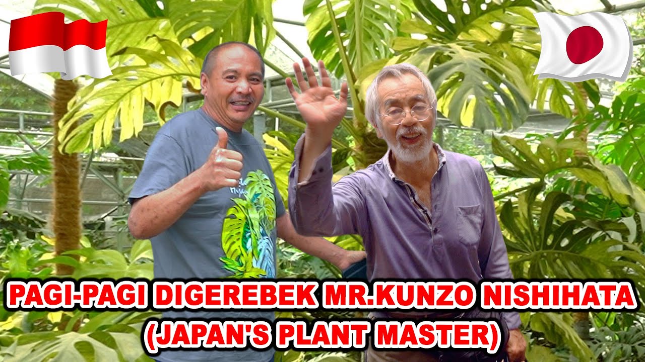 Pagi-Pagi Digerebek Kunzo Nishihata (Japan's Plant Master) - YouTube