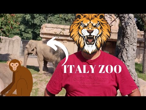 ITALY ZOO | ਚਿੜੀਆਂ ਘਰ - YouTube