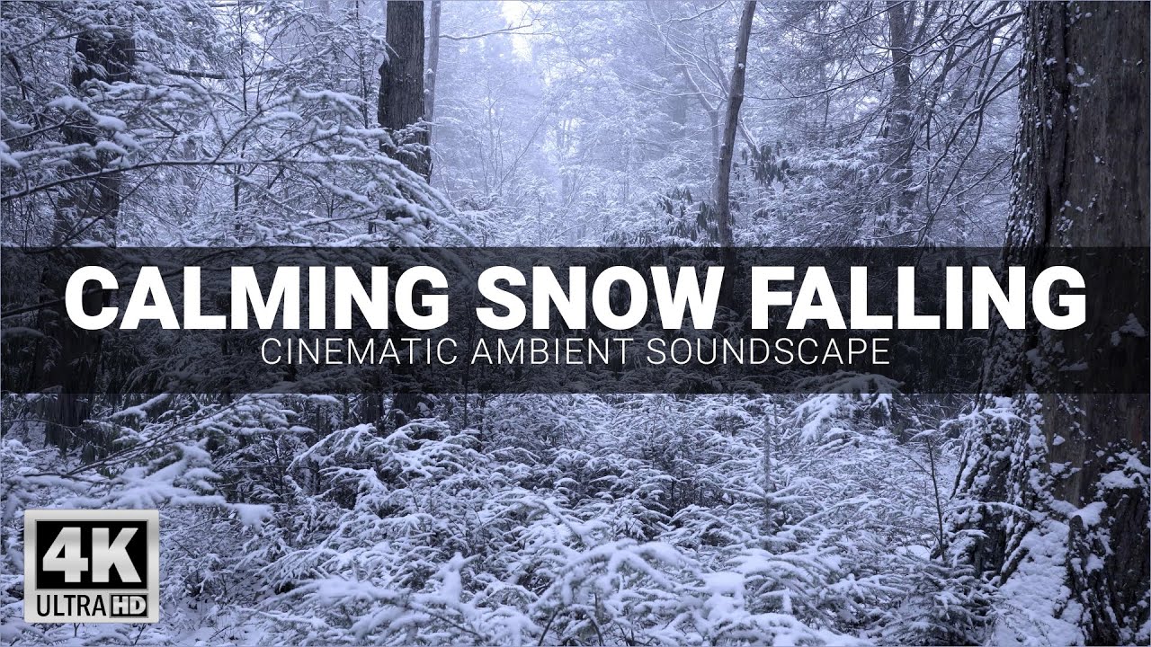 Calming Snow Falling - 8 Hours Winter Ambience of Relaxing Snowfall ...