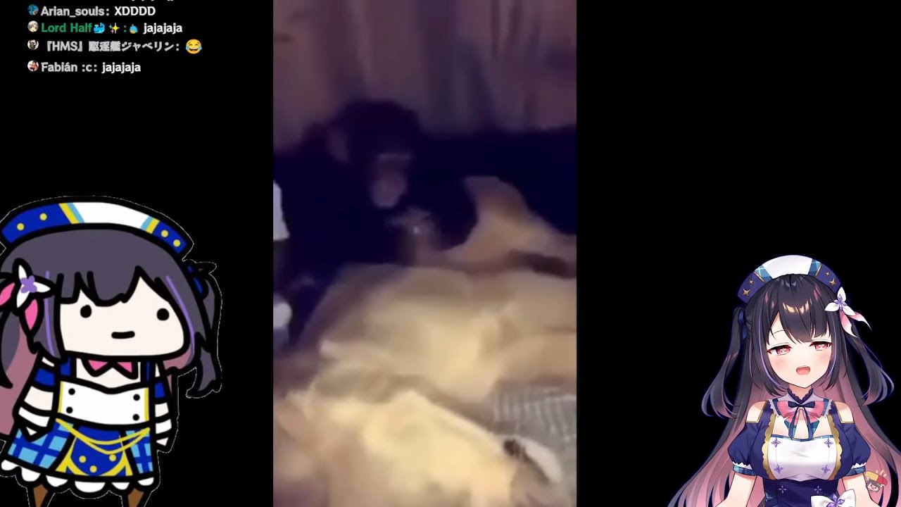 Miren el tamaño de esos huevos - YouTube