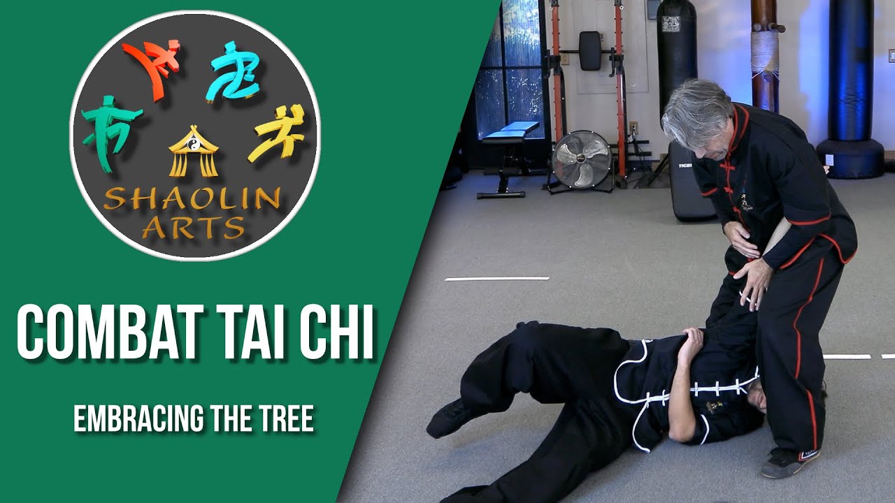 Combat Tai Chi Fighting - Embracing the Tree - YouTube