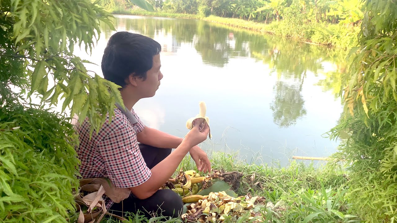Cut ripe bananas for the fish to eat, clean the jute plants and water ...