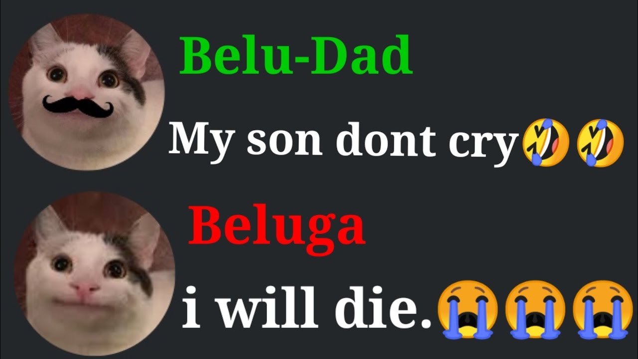 when beluga lose hope.....(beluga life story)#beluga #belumom #hecker # ...