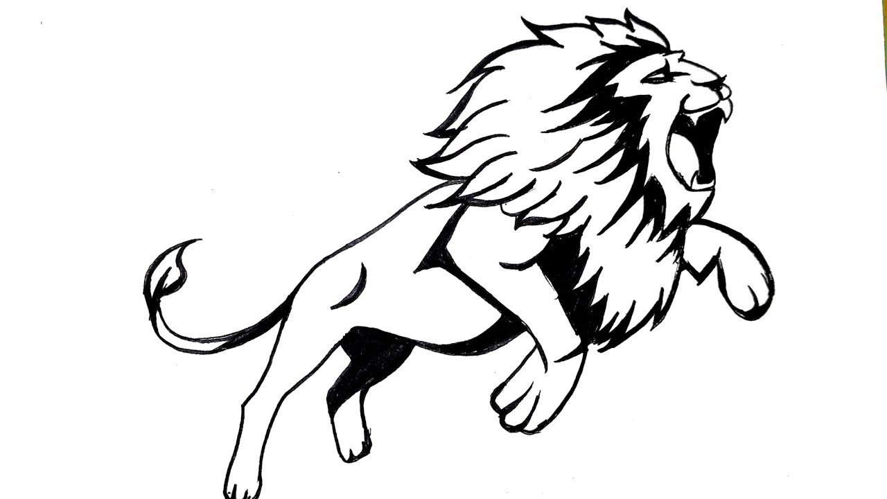 How to draw a tribal lion || Tribal tattoo drawing - YouTube